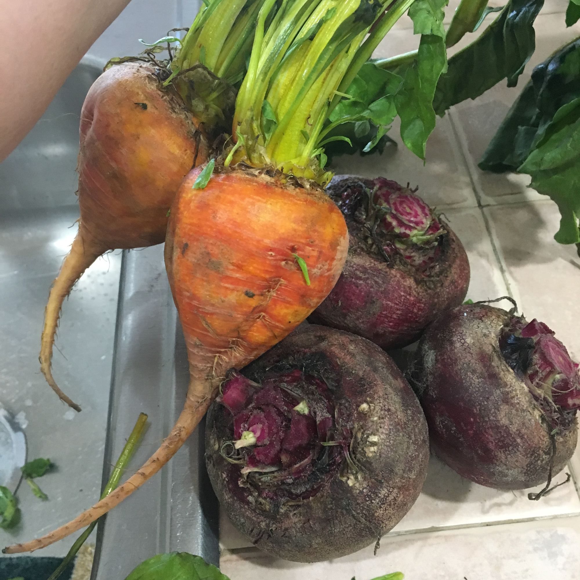 Roasted Heirloom Beet Salad – The Tiny Fairy