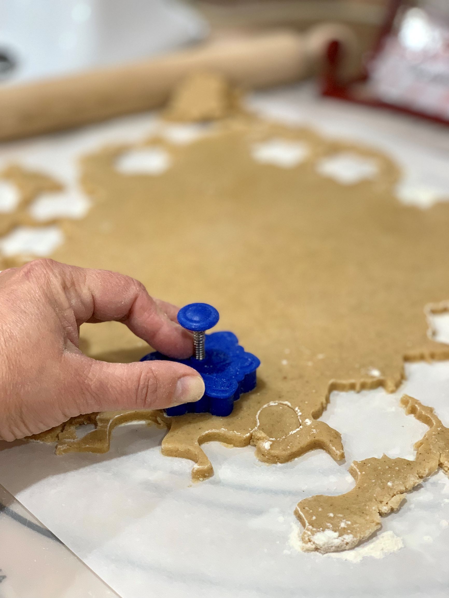 German Gingerbread Spiced Sugar Cookies – The Tiny Fairy
