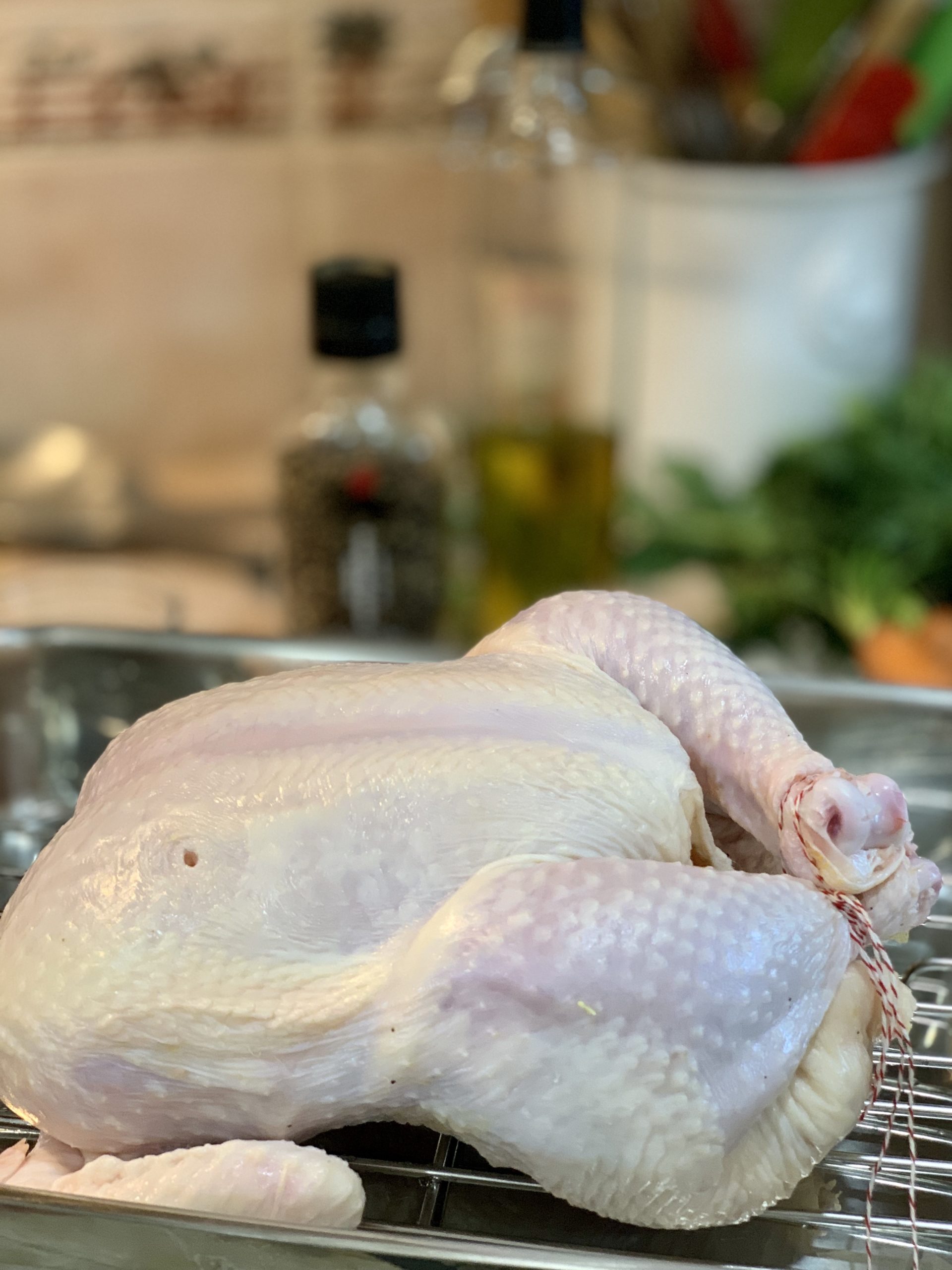 Engagement Chicken – The Tiny Fairy