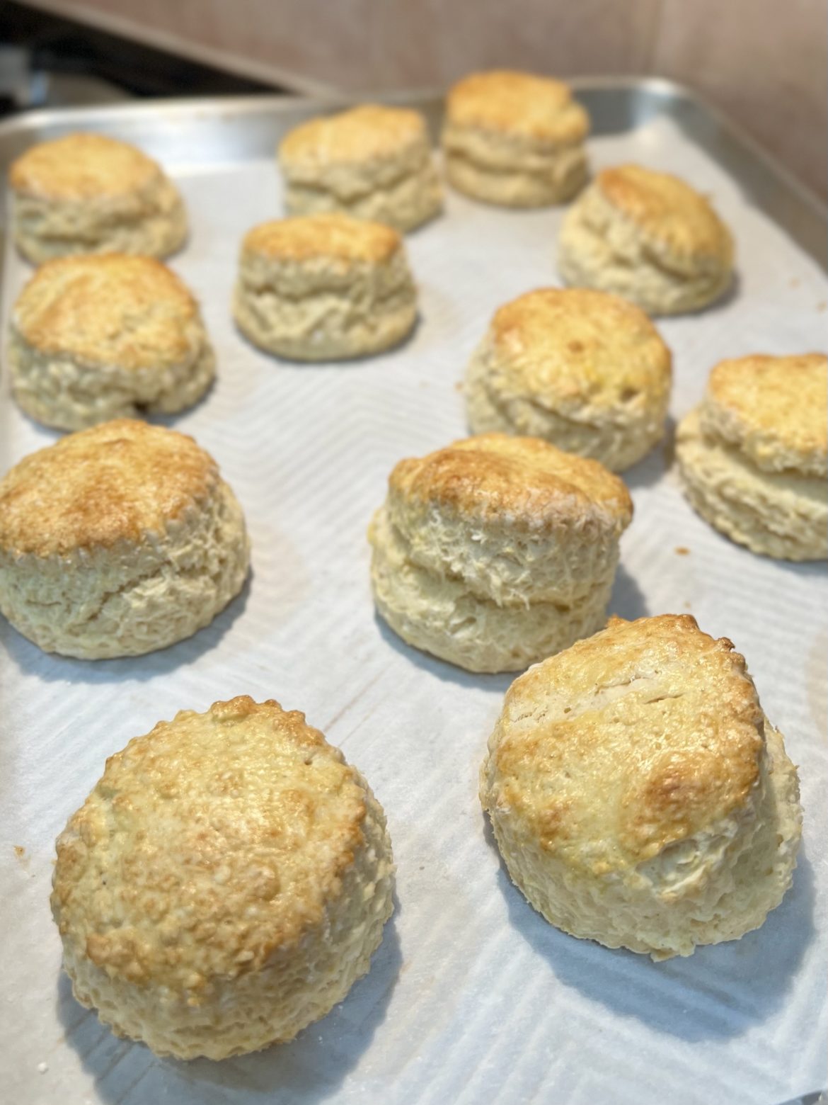 Classic Cream Scones – The Tiny Fairy